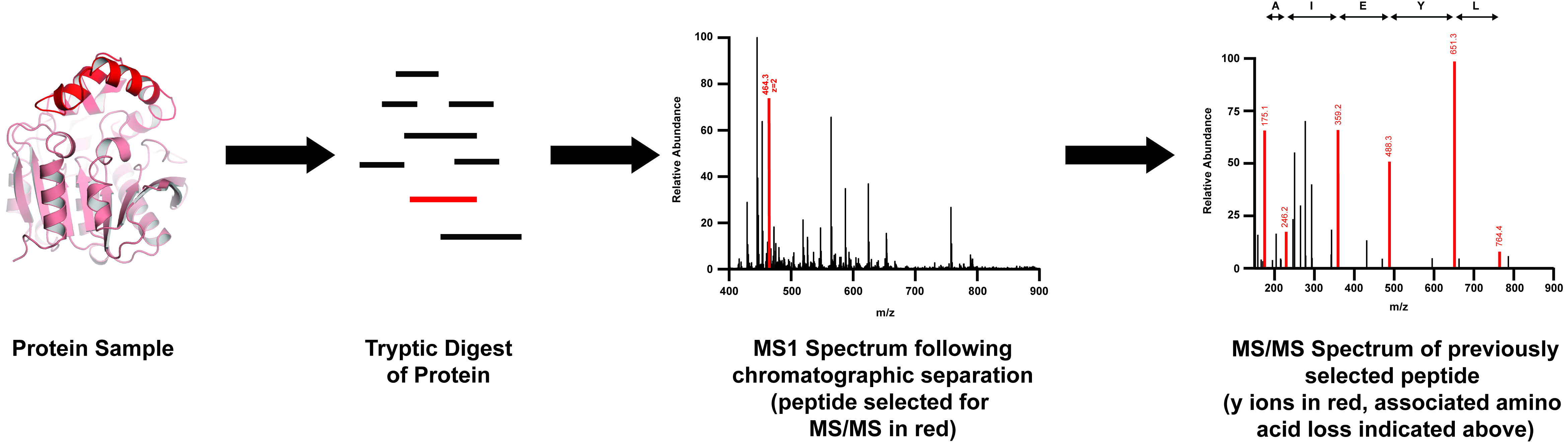 Proteomics Biozone Biozone